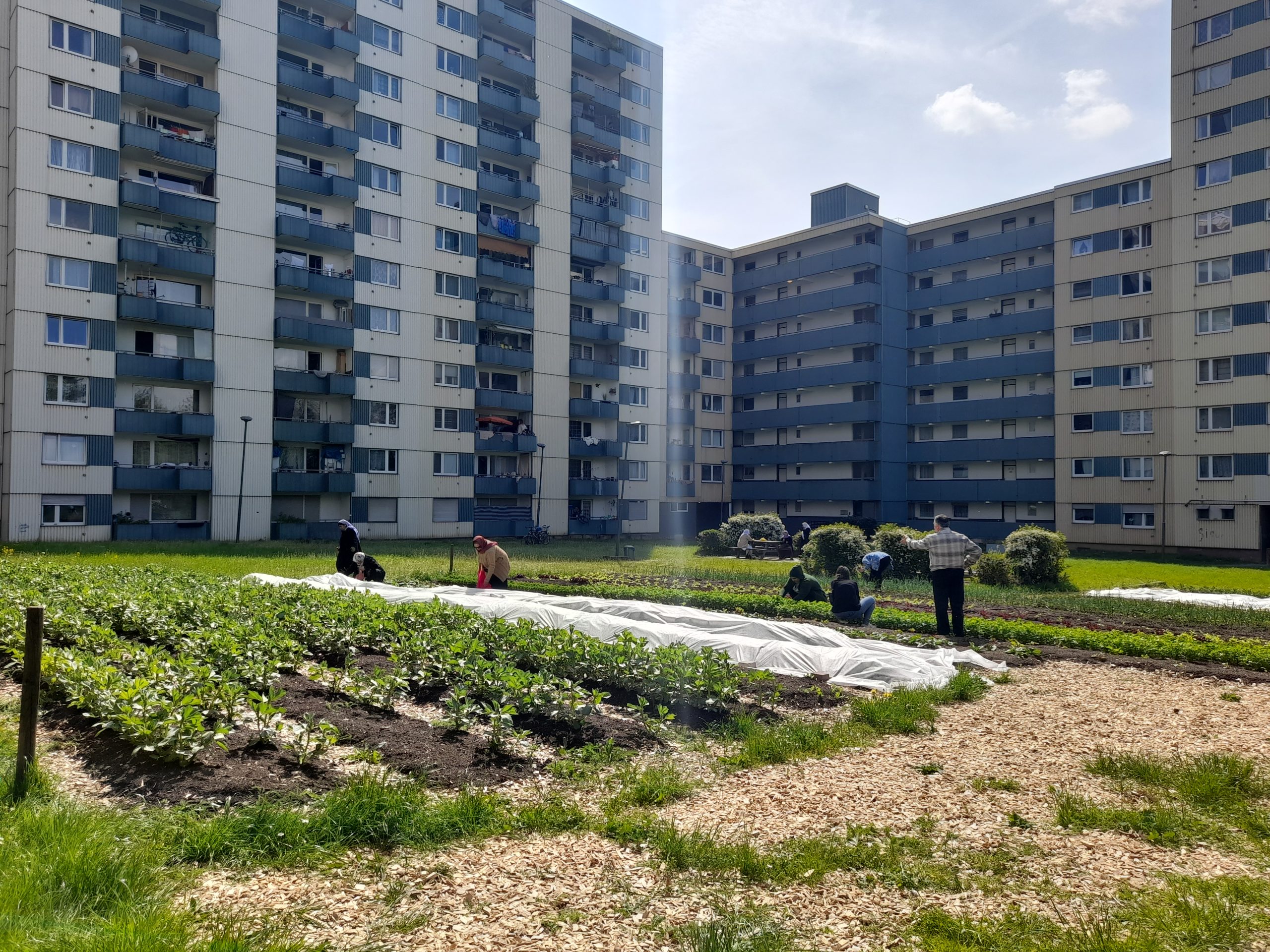 Demogarten in Finkenberg - Essbare-Stadt